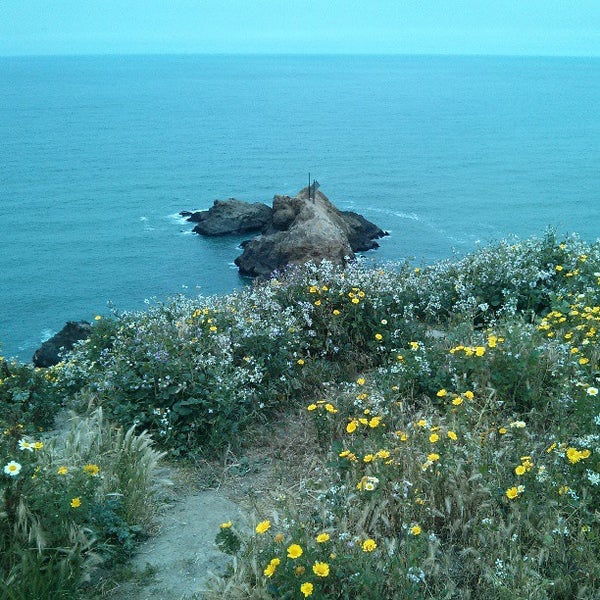 Mussel Rock Park - Park