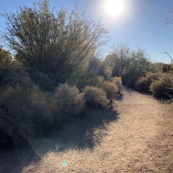 Photos at Gilbert Riparian Preserve at Water Ranch - Gilbert, AZ