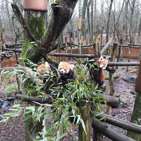 Parc Animalier de Sainte-Croix - Domaine de Sainte Croix