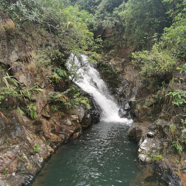 Lotus Stream - River