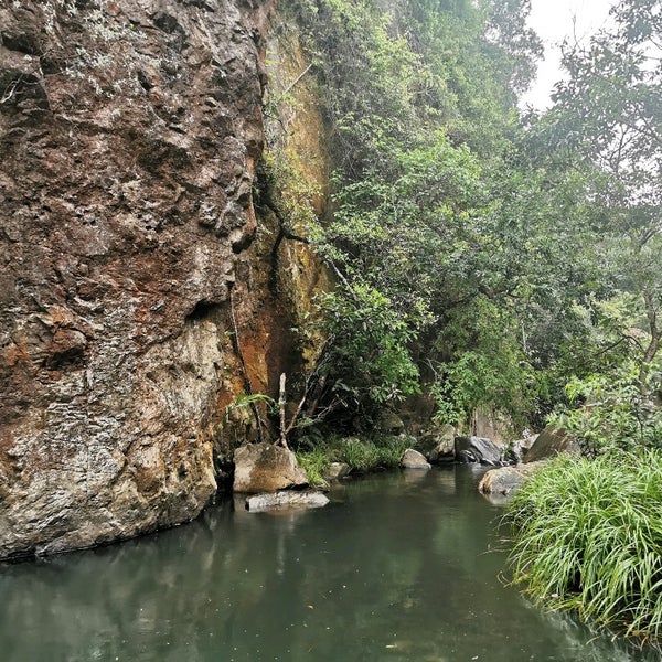 Lotus Stream - River