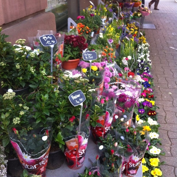 Monceau Fleurs - Flower Store in Contades