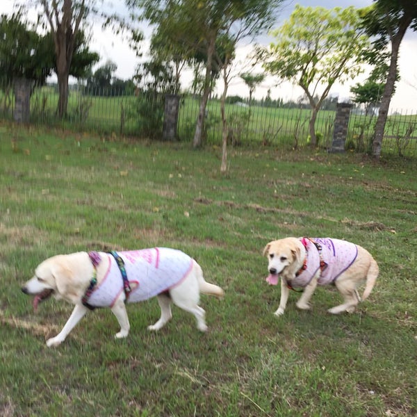 Barangay Comembo - 1 tip from 450 visitors