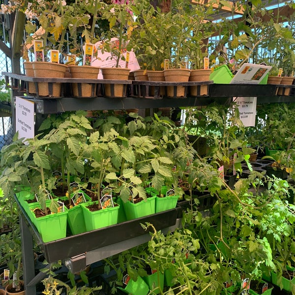 Flowercraft Garden Center - Garden Center in San Francisco