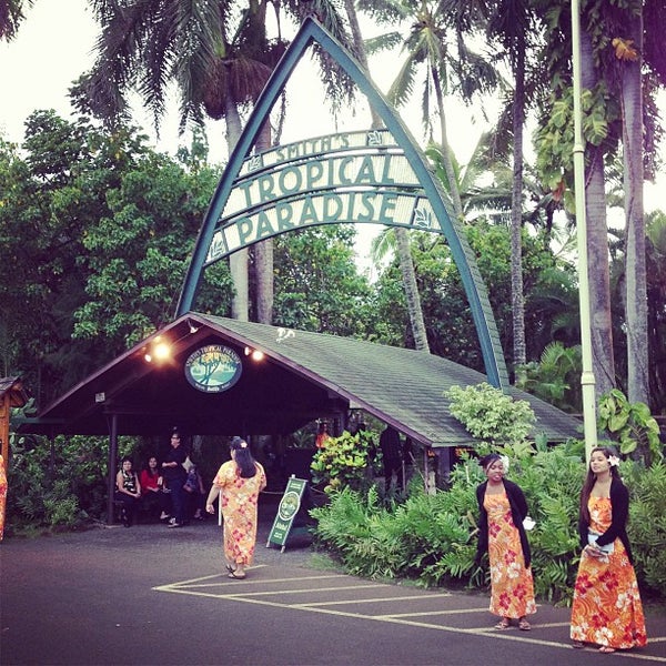 Smith S Tropical Garden Luau | Fasci Garden