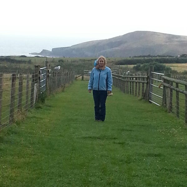 Cardigan Island Coastal Farm Park - Cardigan, Ceredigion