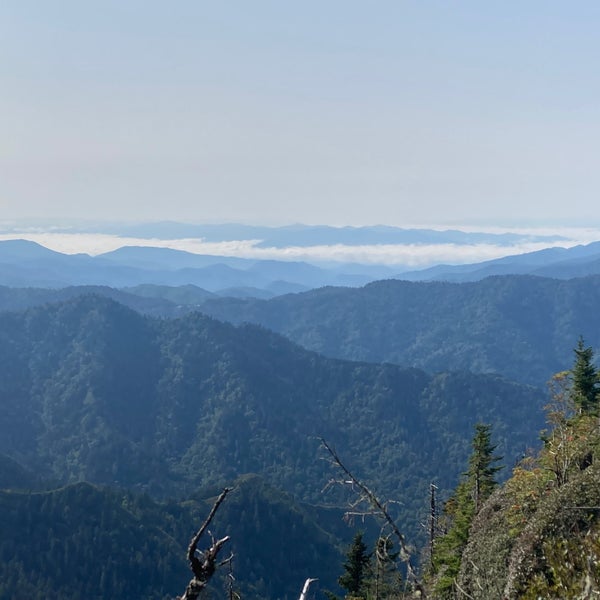 Mt. LeConte - 1 tip from 129 visitors