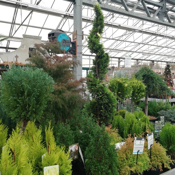 Photos at Intratuin - Cruquius, Noord-Holland