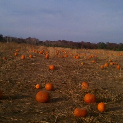 Pinehaven Farm - Arts and Entertainment