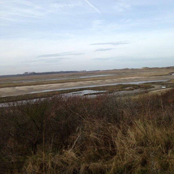 Natuurreservaat Het Zwin