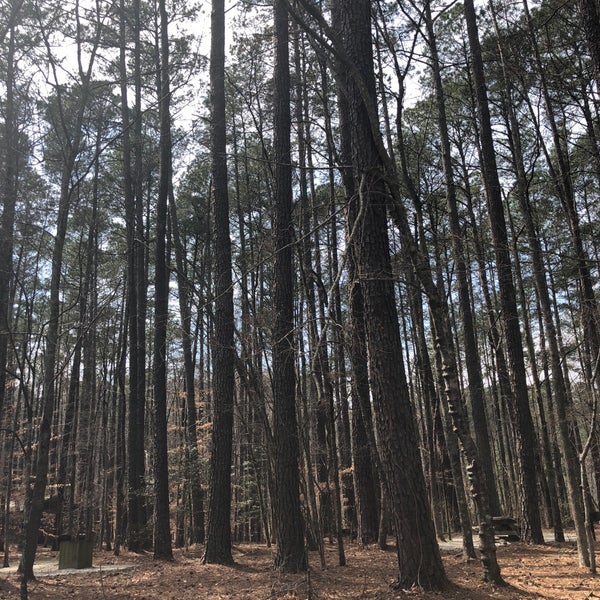 Clemmons Educational Forest - Hiking Trail