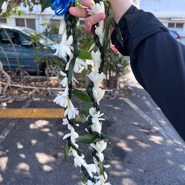 Le Flowers Honolulu Hi | Best Flower Site