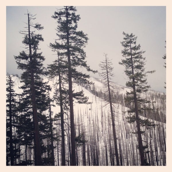 Santiam Pass - 3 tips from 170 visitors