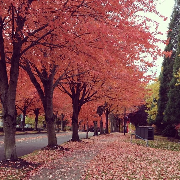 Photos at Microsoft Building 16 - Overlake - 3600 157th Ave NE