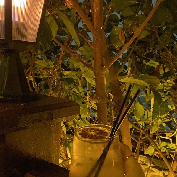 Fil Bar & Bistro - 841 ziyaretçidan 9 tavsiye