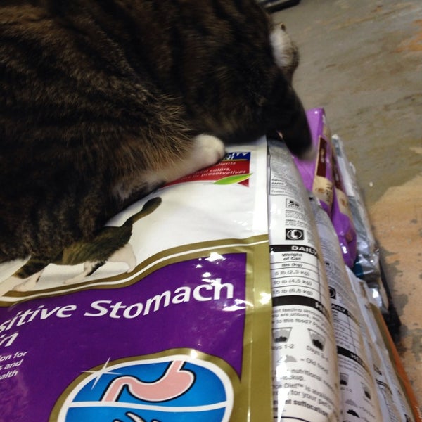 Photos at Urban Tails Pet Supply - Lowry Hill East - 2106 Lyndale Ave S