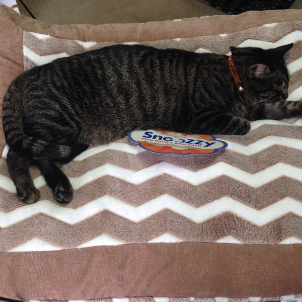 Photos at Urban Tails Pet Supply - Lowry Hill East - 2106 Lyndale Ave S