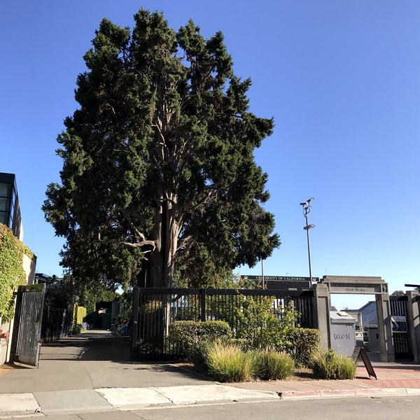 Photos at Edwards Stadium - College Track in University of California ...
