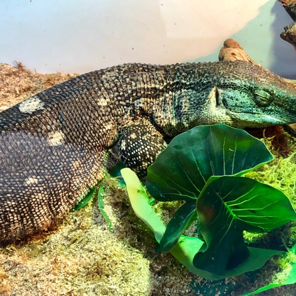 East Bay Vivarium - Pet Supplies Store in Berkeley