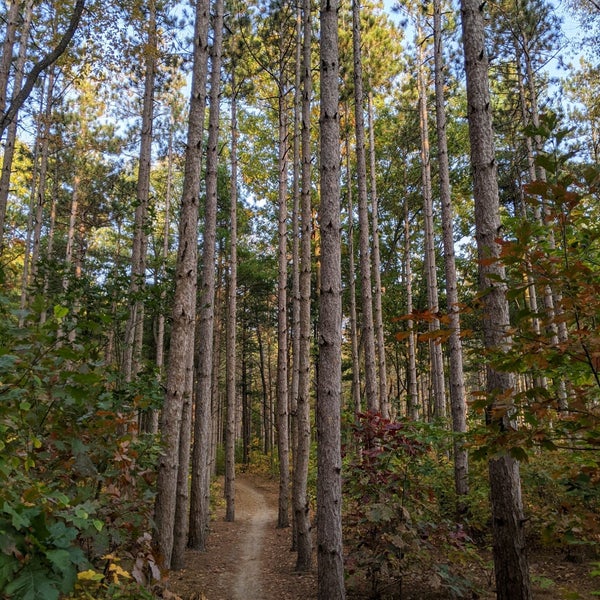 Riley Trails - Hiking Trail