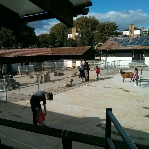 Photos at Surrey Docks City Farm - Farm in Surrey Docks