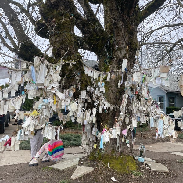 The Wishing Tree - Tree