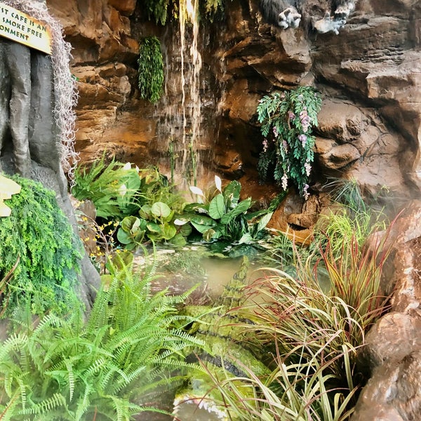 Photos at Rainforest Cafe - Sawgrass Mills - 59 tips