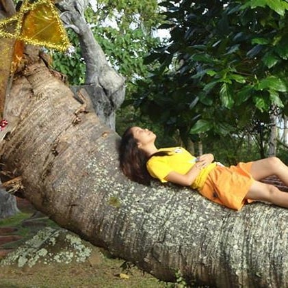 Dapit Alim - 7 visitors