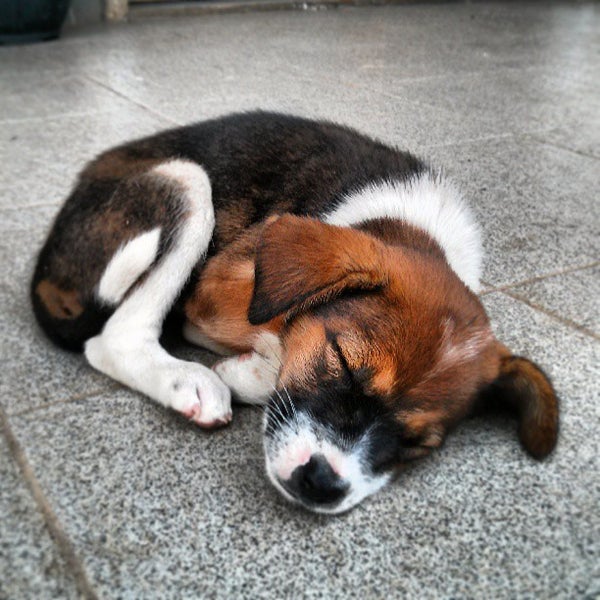 Wisma Timah Dago - Jalan Bukit Dago Utara I No.421