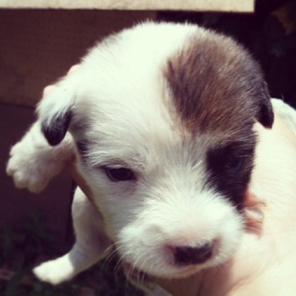 Wisma Timah Dago - Jalan Bukit Dago Utara I No.421