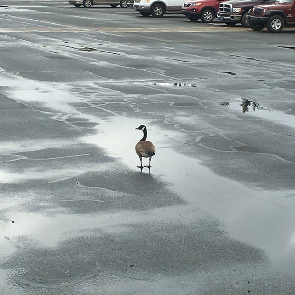 Samuel Strapping Systems - Fort Mill, SC