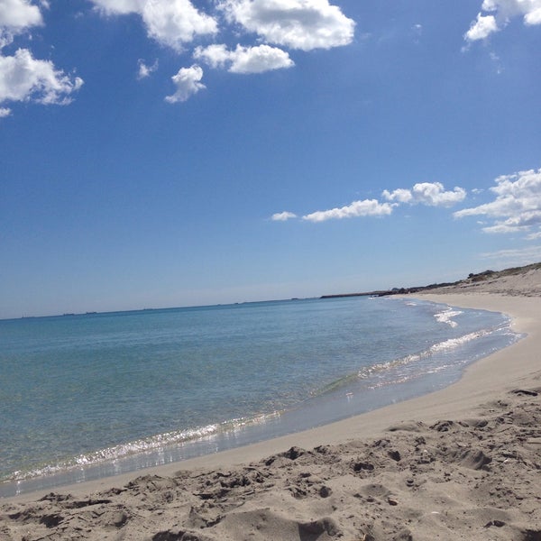 CY O'Connor Beach - Beach