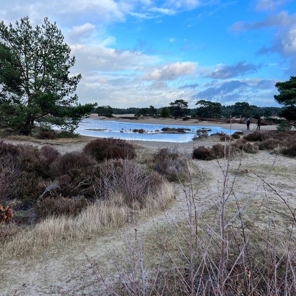 Soesterduinen - Soesterduinen