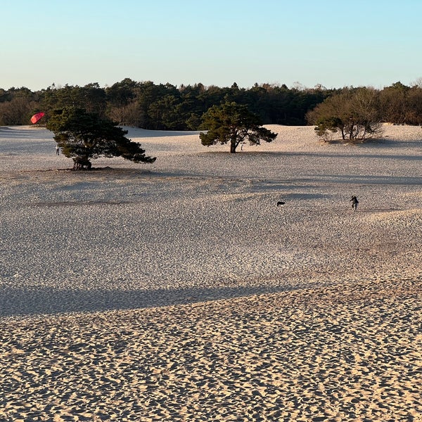 Soesterduinen - Soesterduinen