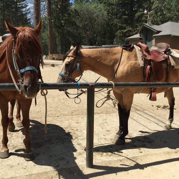 Curry Stables - Yosemite National Park, CA