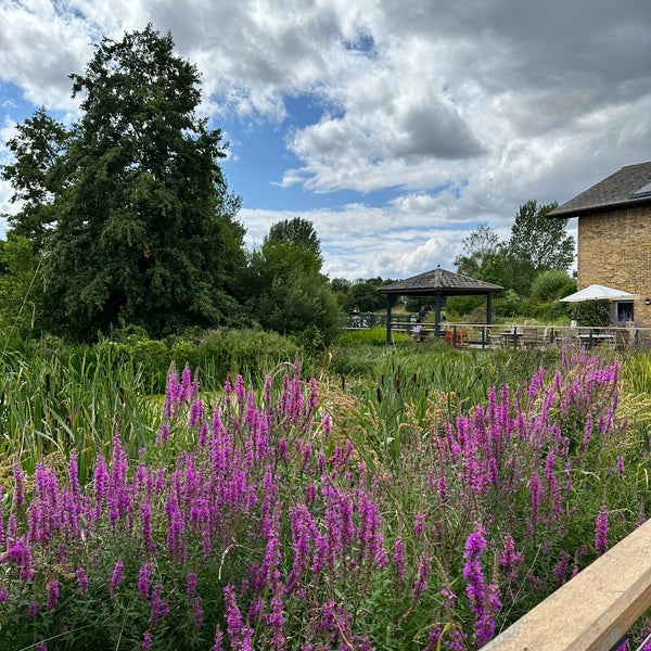 London Wetland Centre - Nature Preserve in Barnes