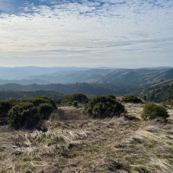 Windy Hill Summit - 7 tips from 554 visitors