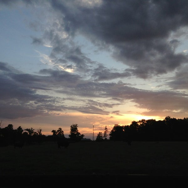 City Of Ider - 1 tip from 82 visitors