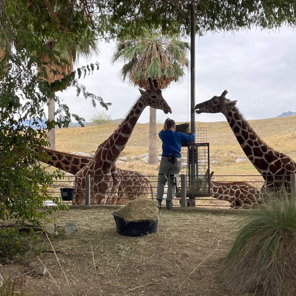Giraffe Exhibit - 6 tips from 304 visitors