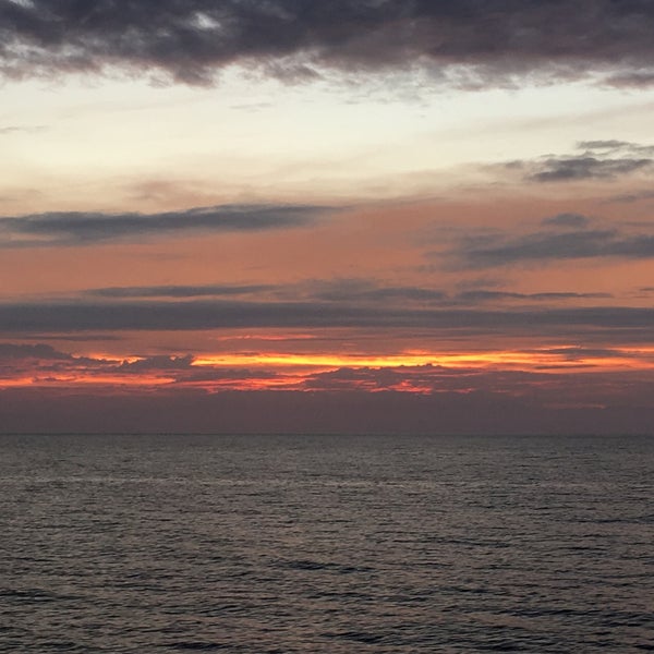 Navios Shipping Lines - 1 tip