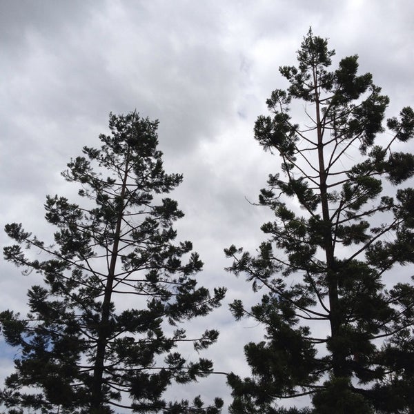 Strathpine - Neighborhood