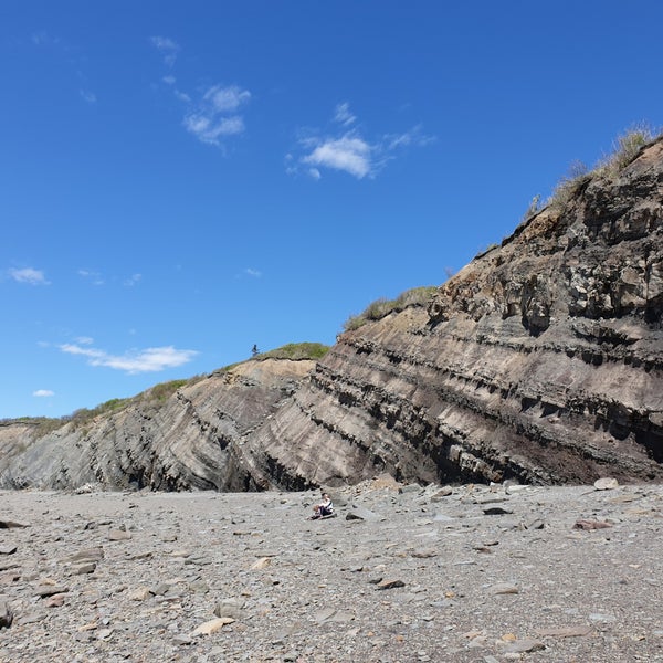 Joggins Fossil Cliffs - History Museum