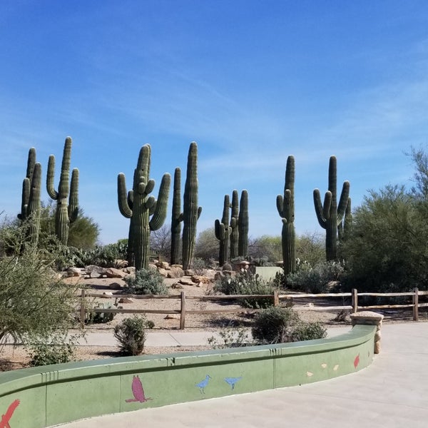 Photos at Gilbert Riparian Preserve at Water Ranch - Gilbert, AZ
