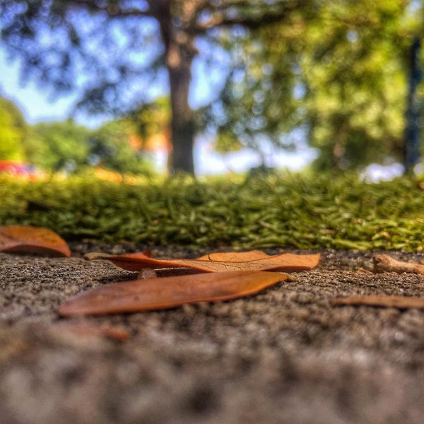 Photos at Kiwanis Sprayground - 8 tips