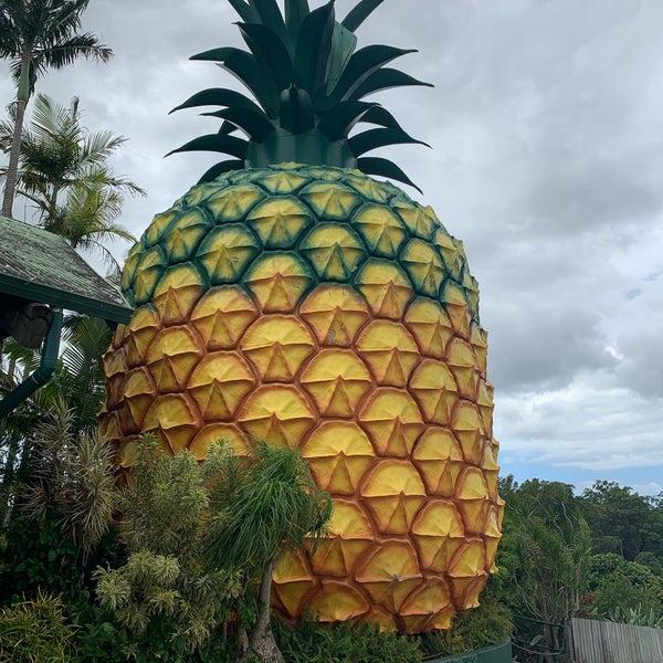 Big Pineapple - 9 tips