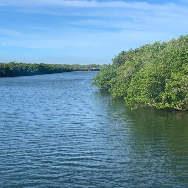 Barron River - Aeroglen, QLD