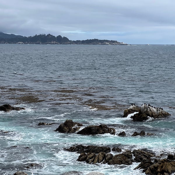 Pescadero Point - 4 tips from 1204 visitors