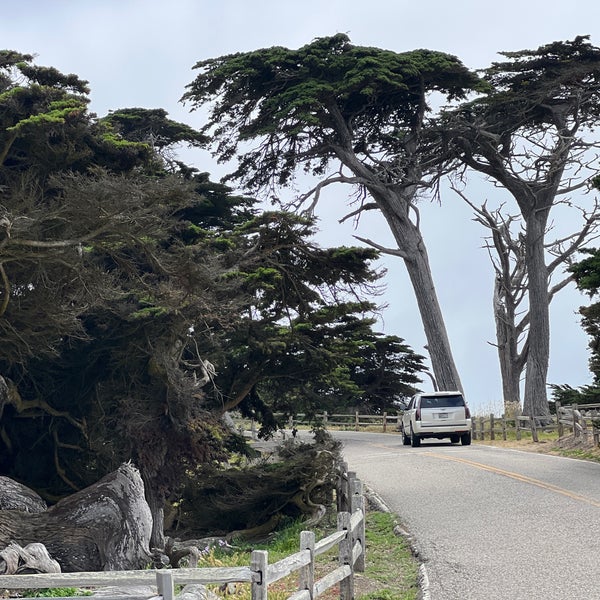 Cypress Point Lookout - 17 Mile Drive