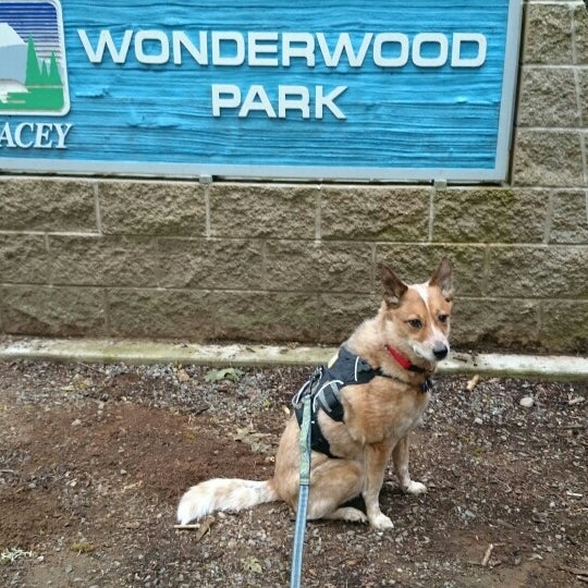 Photos at Wonderwood Park - 1 tip