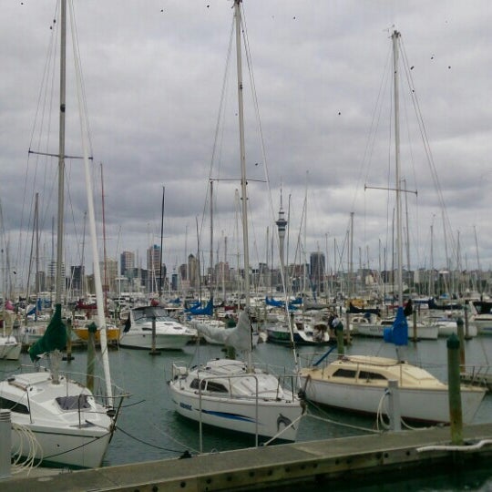 Auckland Waterfront - Harbor / Marina in Viaduct Harbour